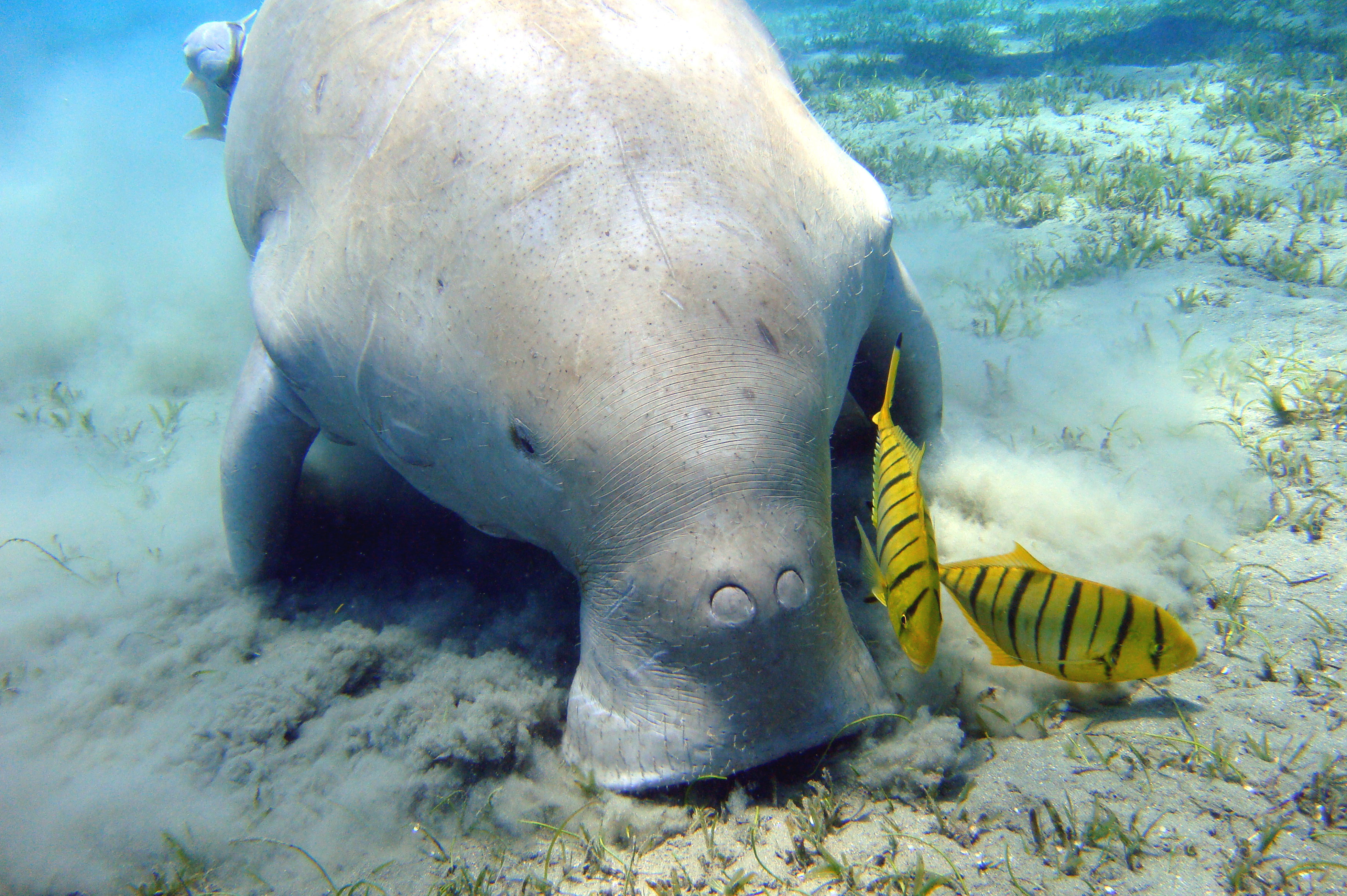La Floride dans tous ses états